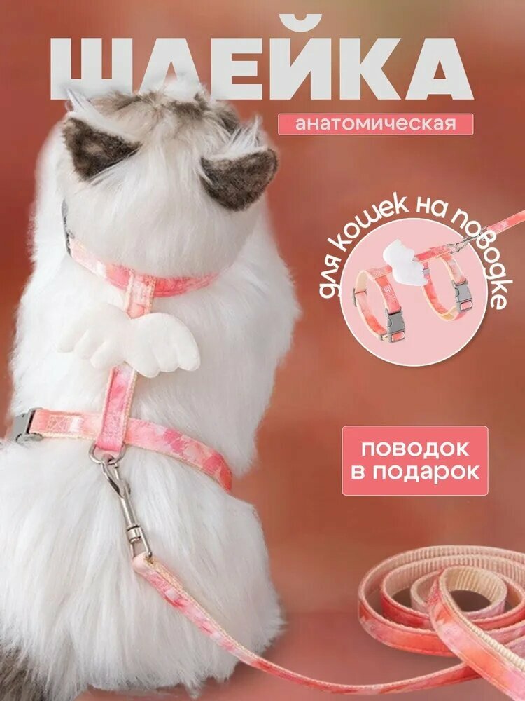 Шлейка анатомическая для кошек и маленьких собак с крыльями