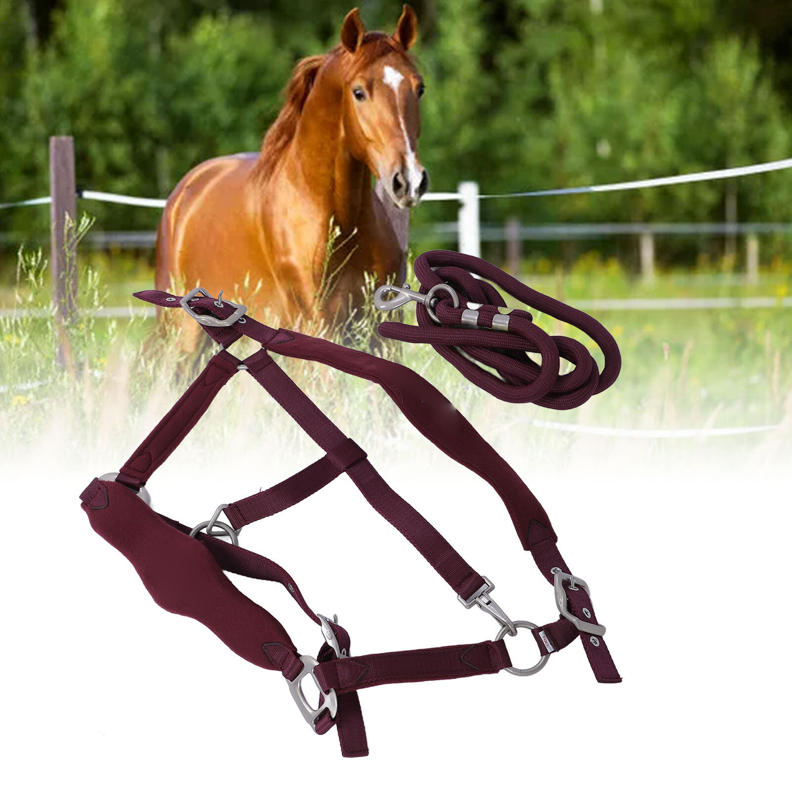 Набор для лошадиных поводков, предотвращающий натирание, регулируемый поводок для обучения лошадей с 2-метровым поводком для ежедневной дрессировки, винно-красный, M