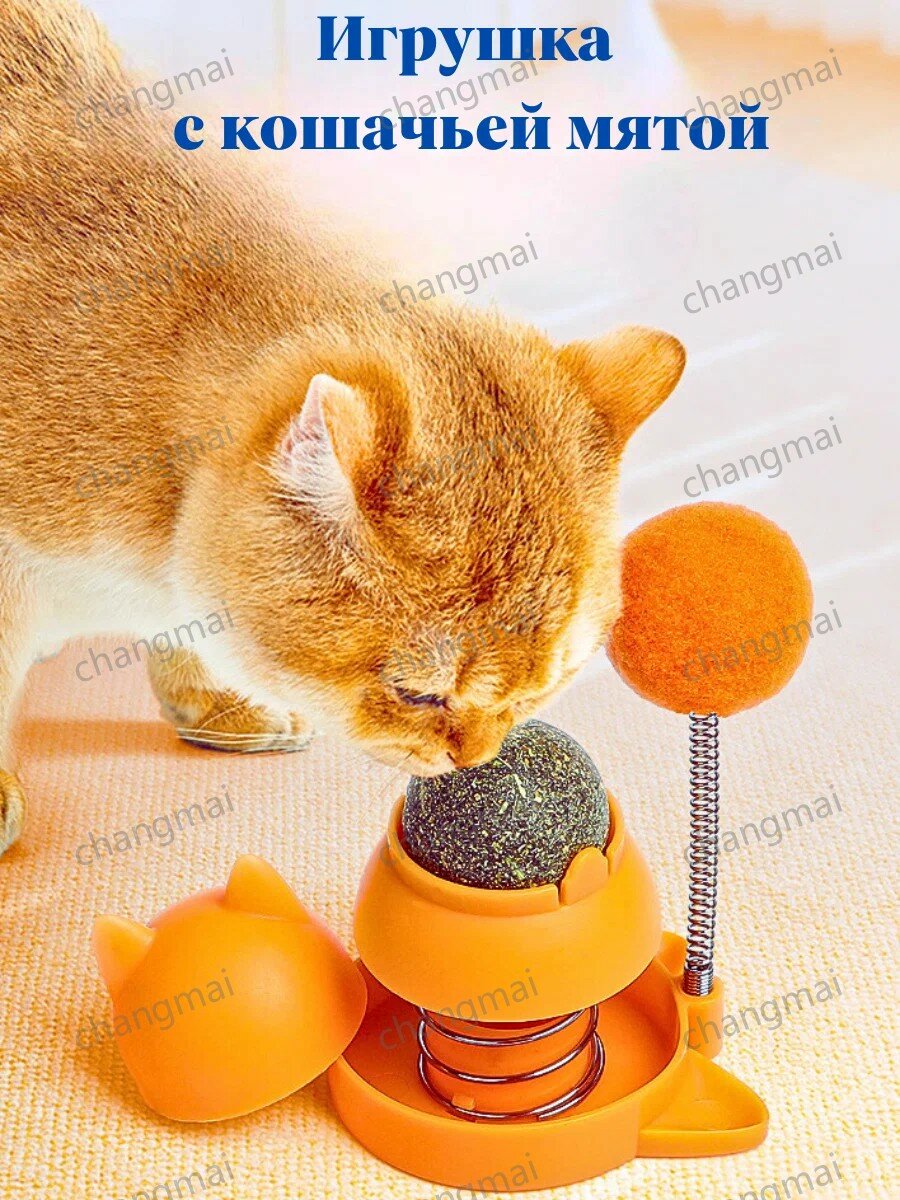 Игрушки для кошки, котят с кошачьей мятой, дразнилка на пружинке