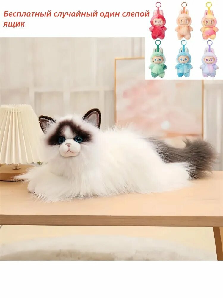 Кошка Рэгдолл, плюшевая игрушка, 50 см (одна бесплатная случайная слепая коробка)