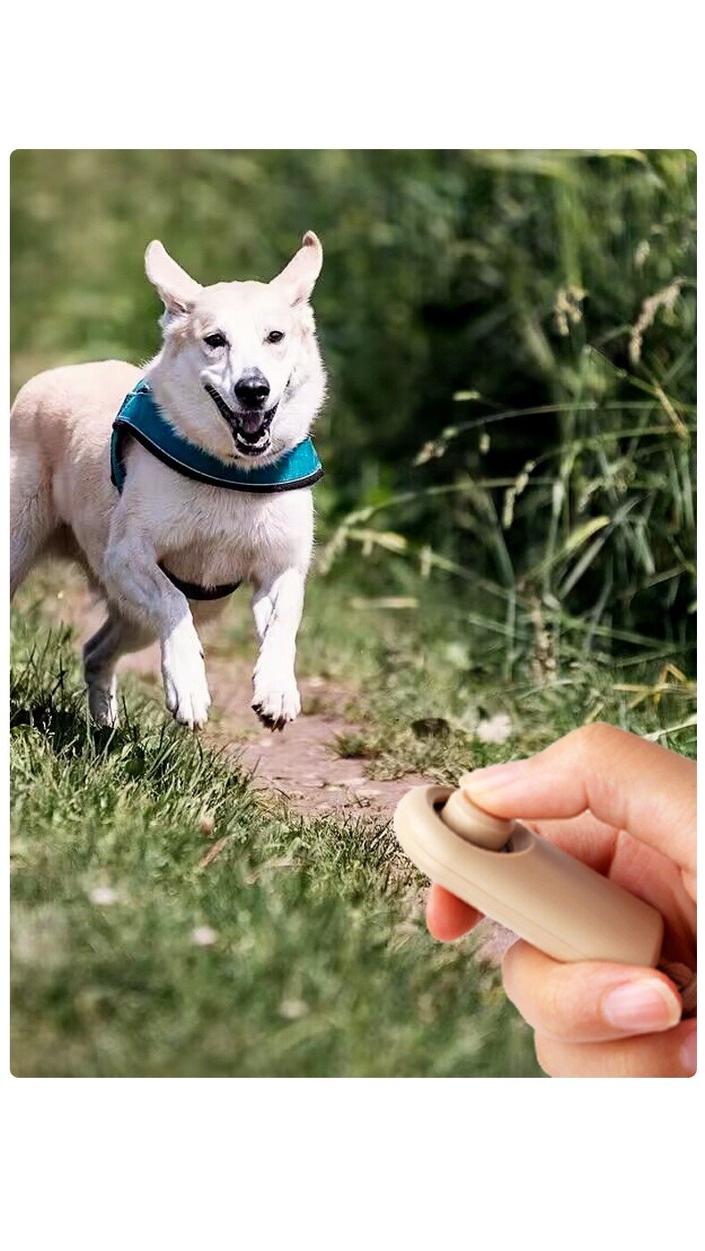 Кликер для дрессировки собак: тренажер с кликером, свистком и шейкером, 3 предмета, шнурок, ABS-пластик，Случайный цвет