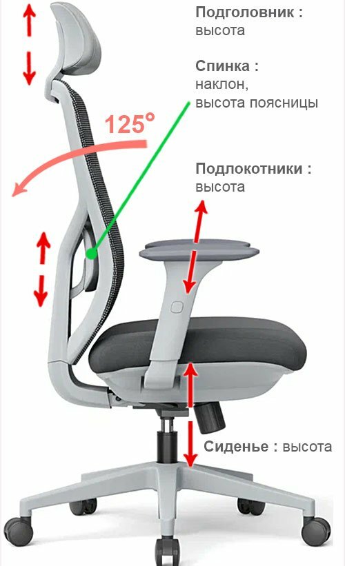 Офисное ортопедическое кресло Sitzone YNG CH-523A-HS, с регулировкой высоты поясницы