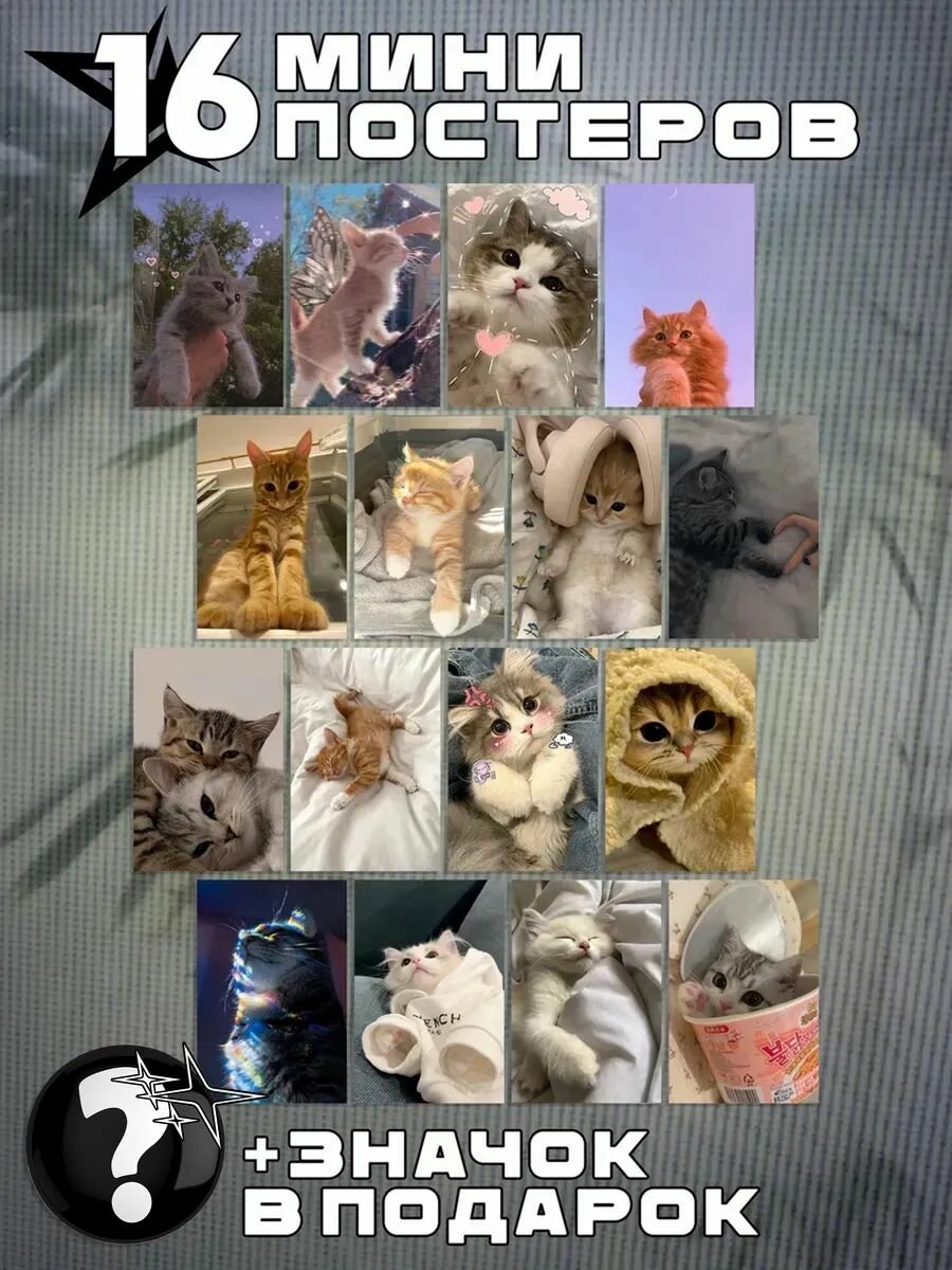 Мини постеры Котики