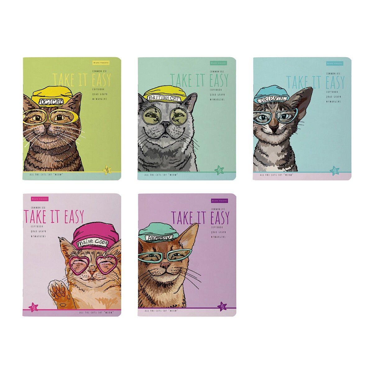 Тетрадь общая 48 листов 5 штук "EASY LIFE. Коты"