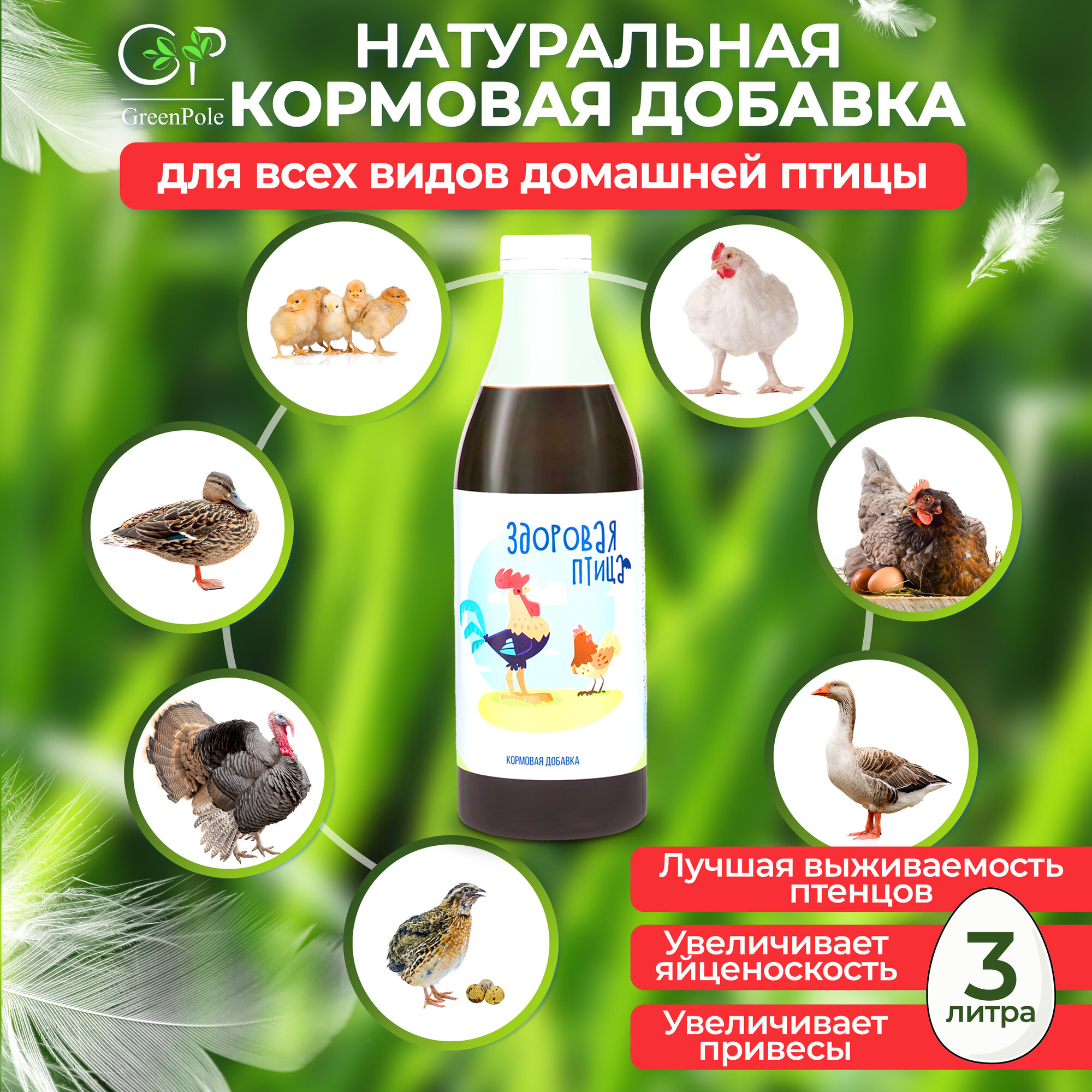 Витамины для кур несушек добавка к корму 3 л. Кормовая добавка для любой птицы.