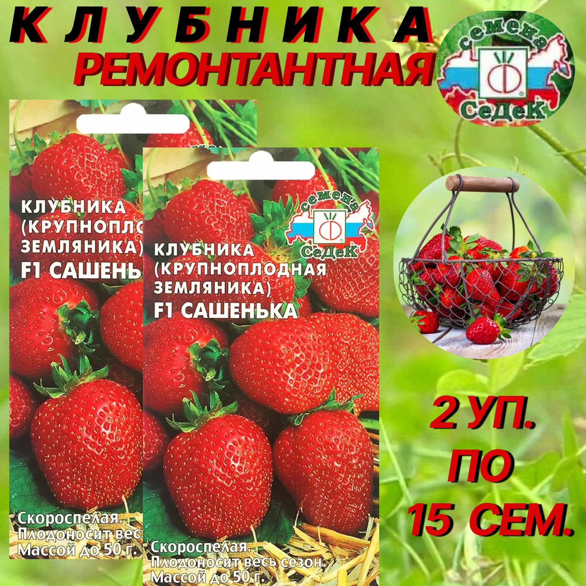 Семена клубники СеДек "Сашенька", ремонтантный сорт, крупноплодные ягоды, 2 упаковки