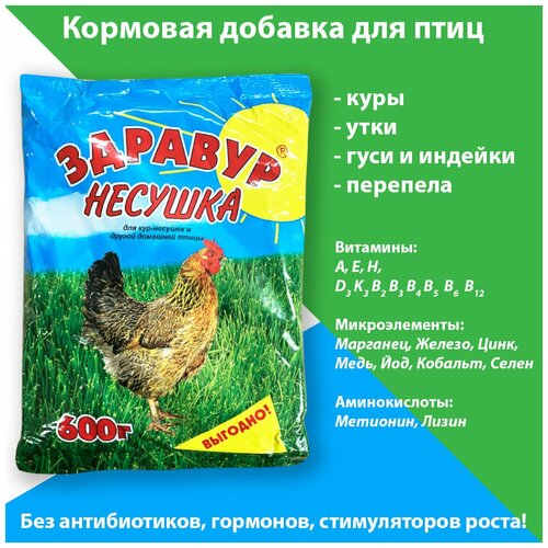 Здравур Несушка кормовая витаминная добавка для кур и другой домашней ...
