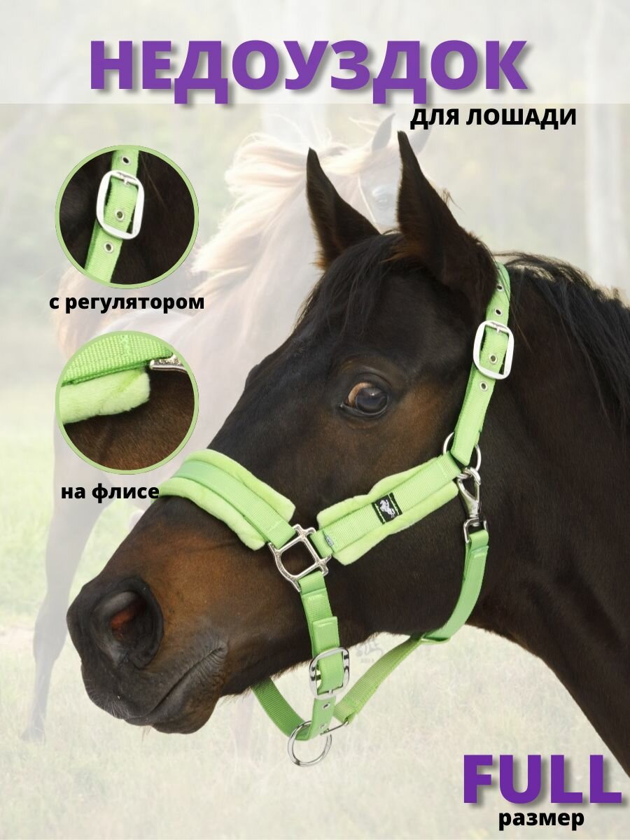 Sweethorse / Недоуздок для лощадей на флисе , Full , салатовый