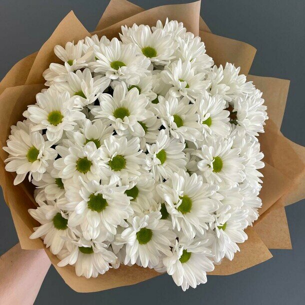 Букет Well Flowers "Хризантемы", круглый, XXl, на стеблях, 9 цветов, букет свежих цветов