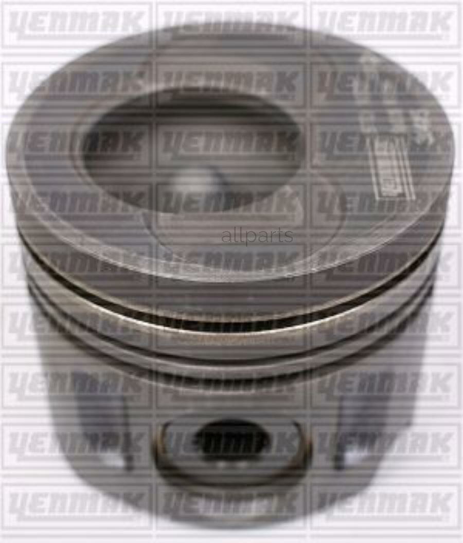 YENMAK 3104309000 поршень в сборе! поршень+кольца d81.01 STD\ VW LT35/LT46/TR 2.5TDi 96>