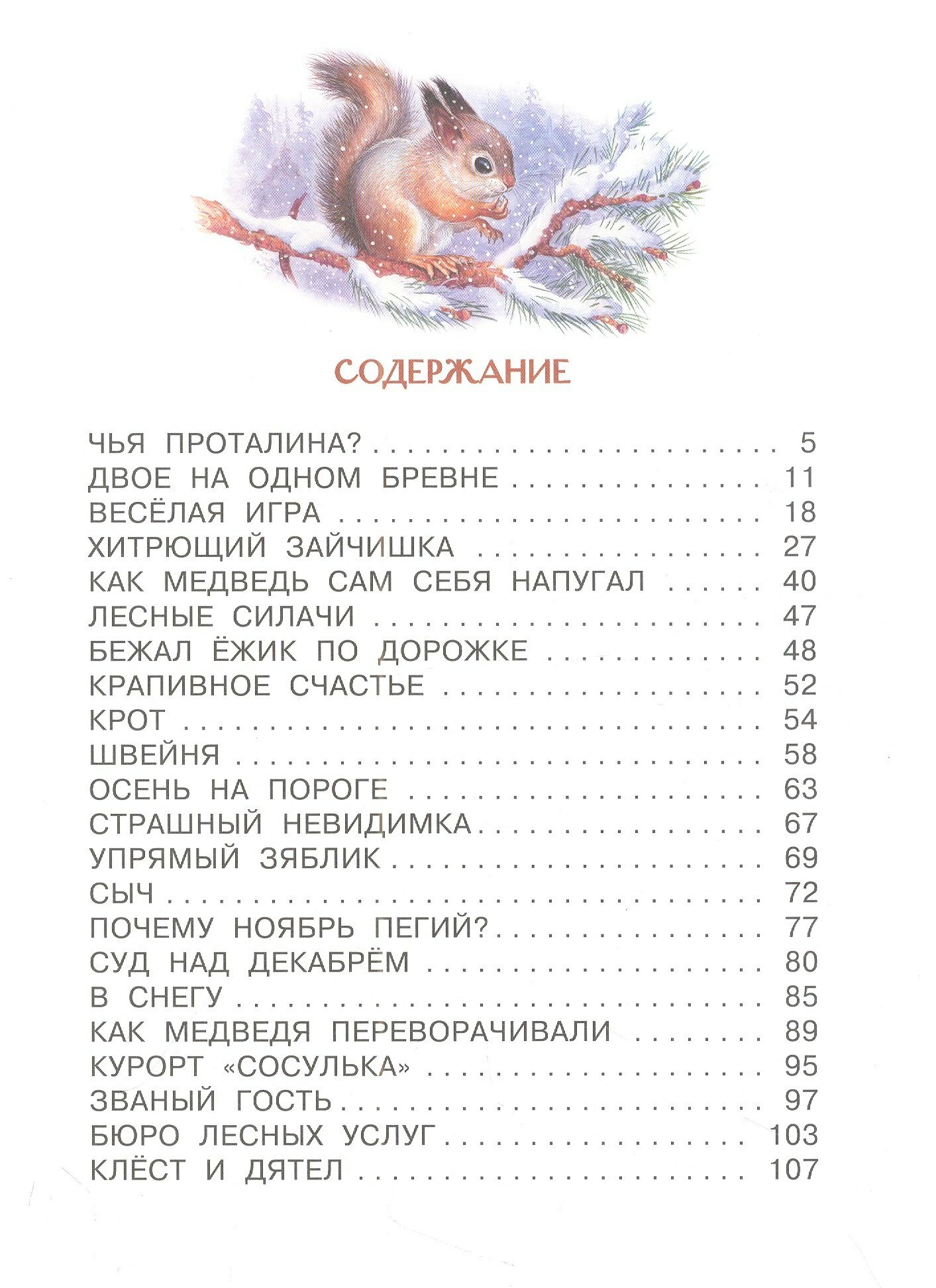 Бюро лесных услуг — фото 1