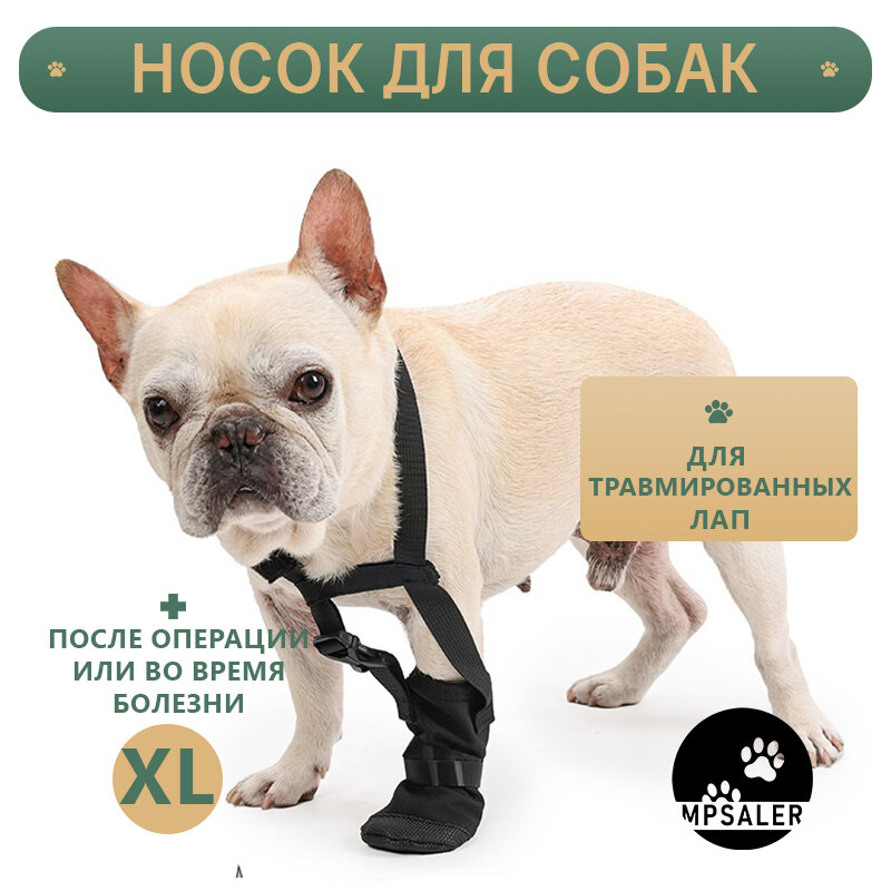 Носок для собаки защитный, прорезиненный. Размер XL.