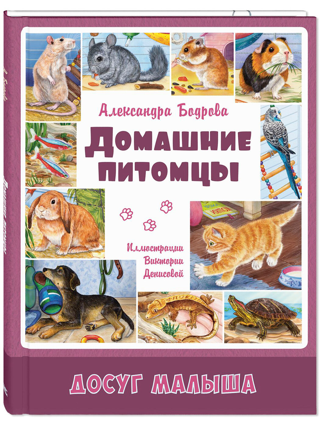 Книга Домашние питомцы