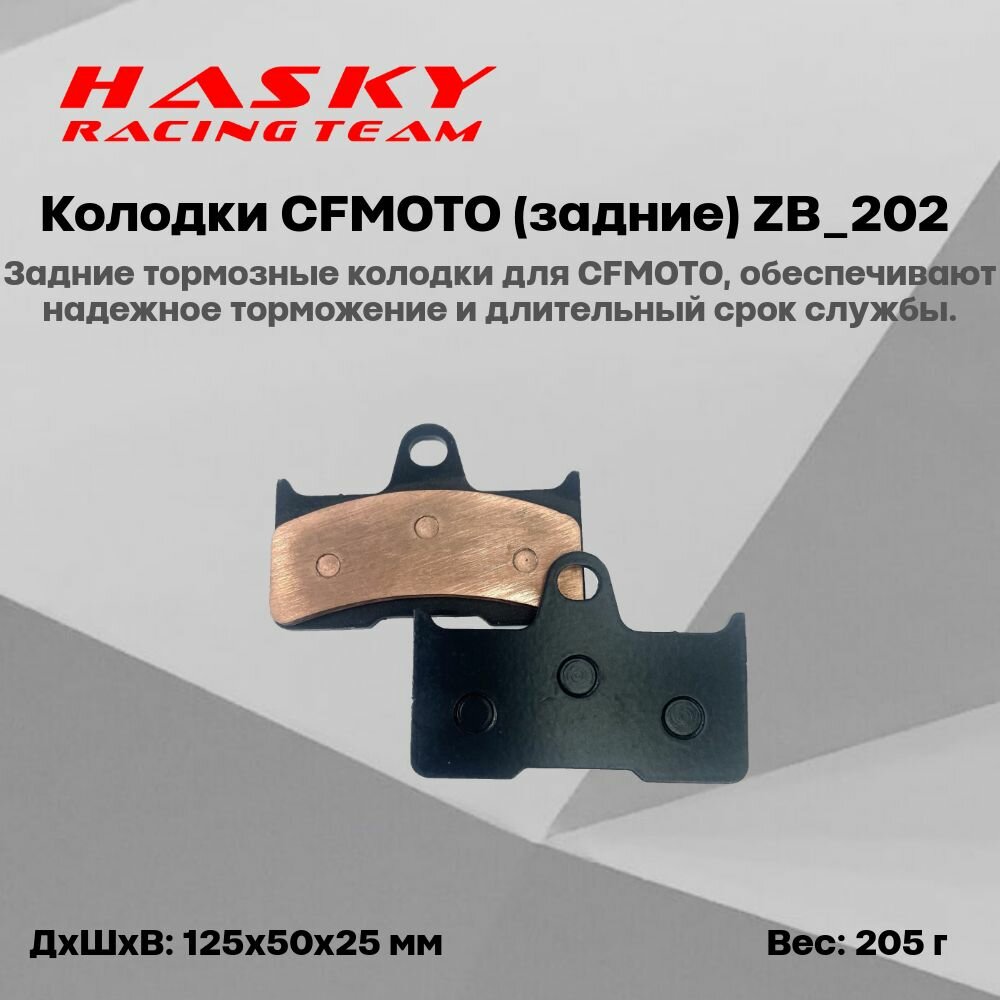 Колодки CFMOTO (задние) ZB_202