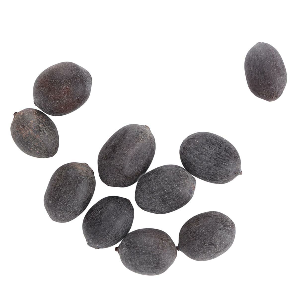 Семена лотоса, семена лотоса, которые легко выращивать в саду