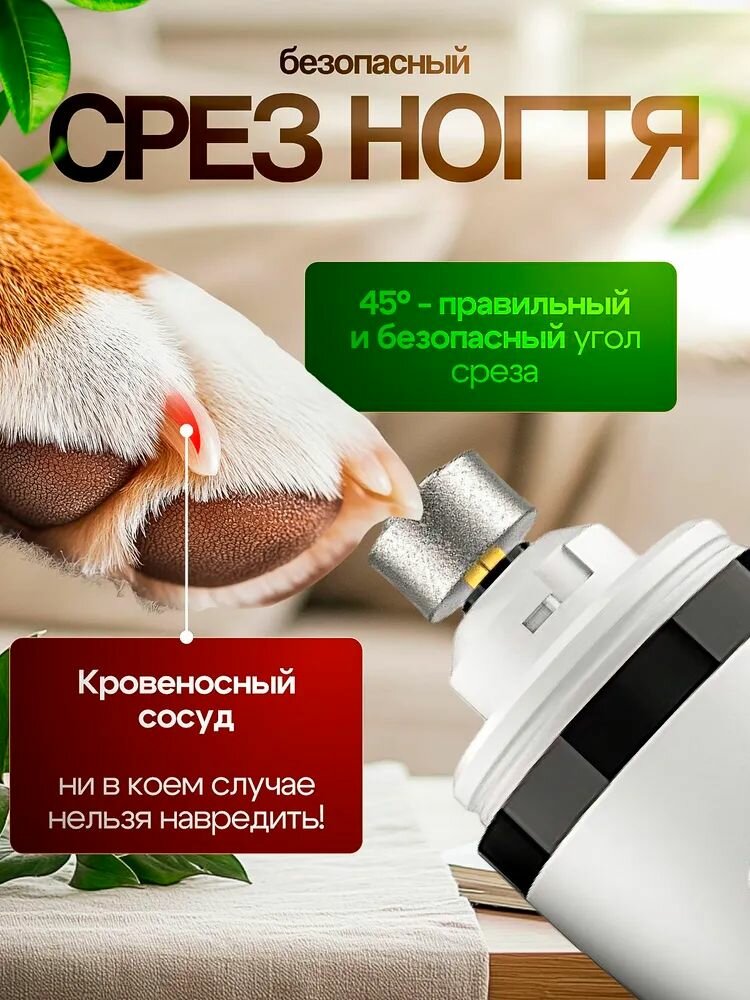Гриндер для когтей собак. Мощный электрический гриндер для собак и кошек
