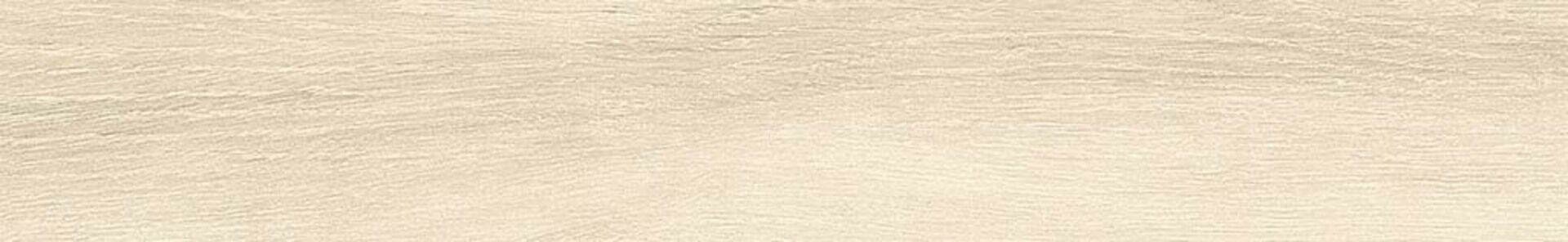 Керамогранит Ceramica Ribesalbes Bremen 78910108 10x60 Матовая Коричневый