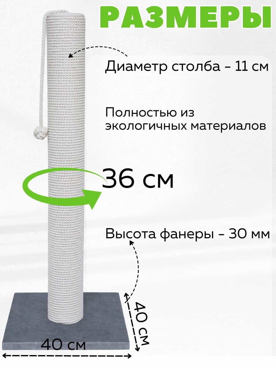 Когтеточка — фото 1