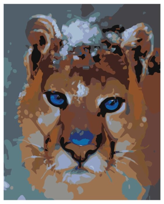 Голубоглазая пума Раскраска картина по номерам на холсте