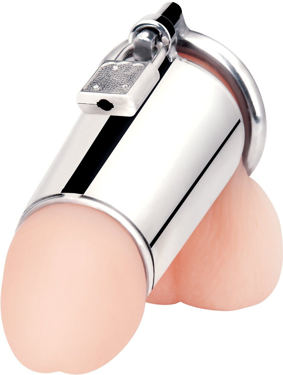 Пояс верности с открытой головкой и замком BlueLine Ultimate Cock Tease Cage, серебристый