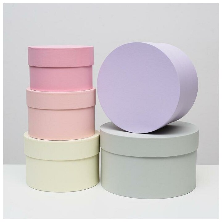 Набор круглых коробок 5 в 1 «Дымка», 23 × 23 × 14 - 15×15×10 см