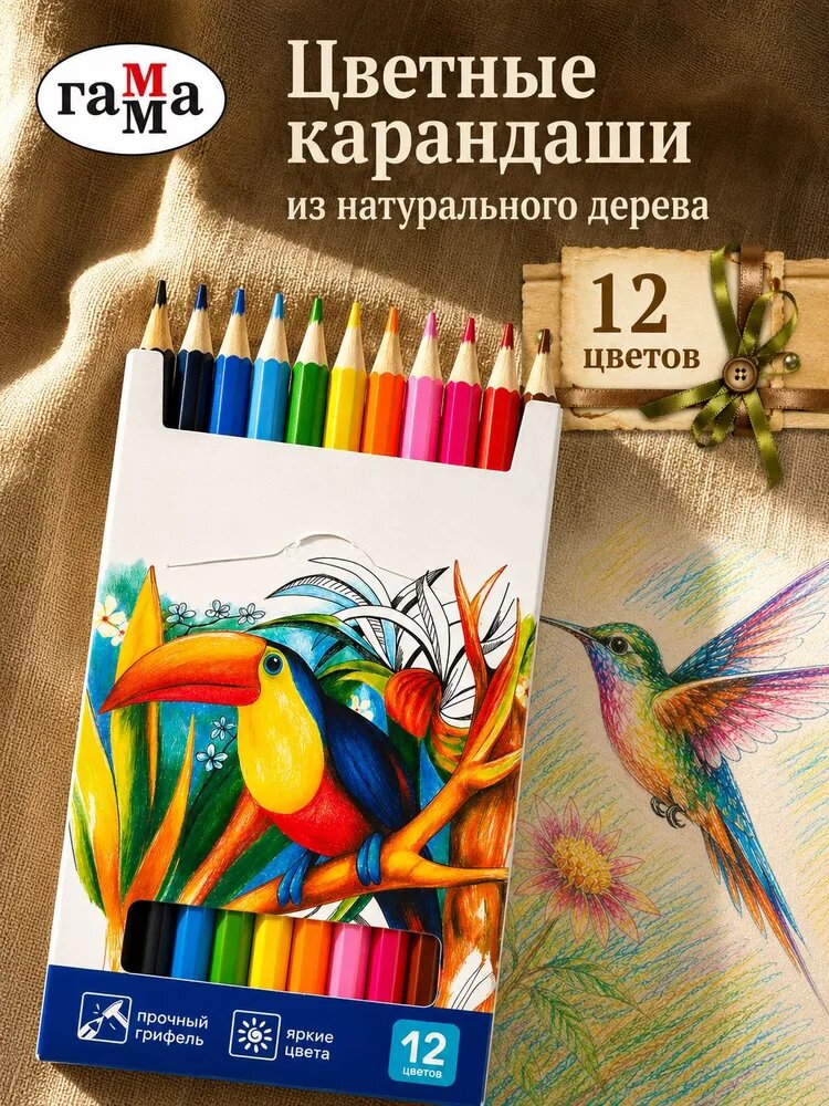 Карандаши цветные для рисования гамма 12 цветов, набор, шестигранные, деревянные
