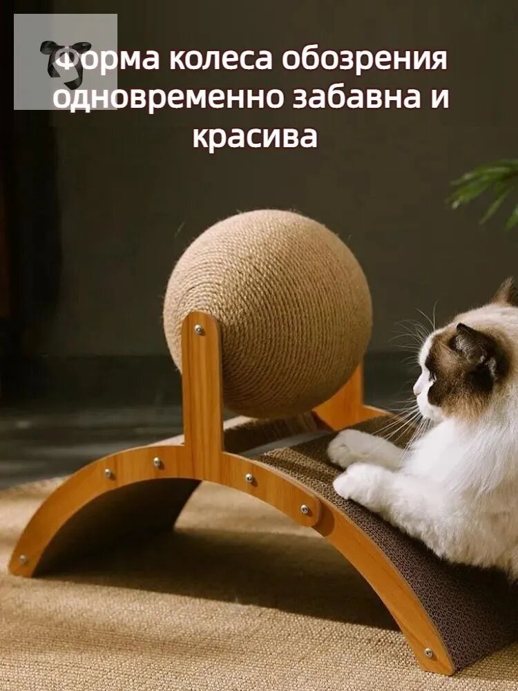 Когтеточка — фото 1