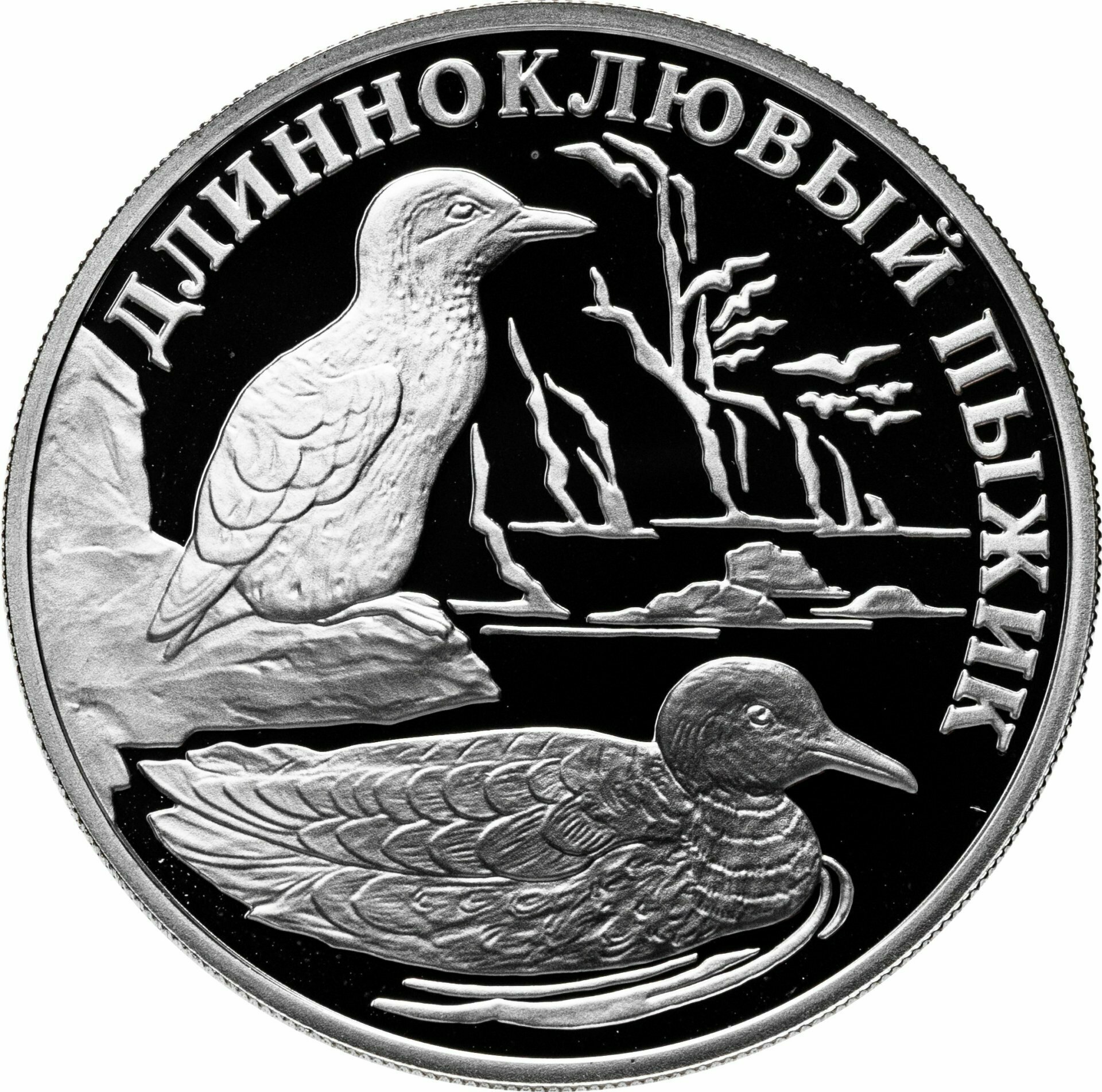 1 рубль 2005 СПМД длинноклювый пыжик в капсуле, Серебро 925, в сохранности Proof