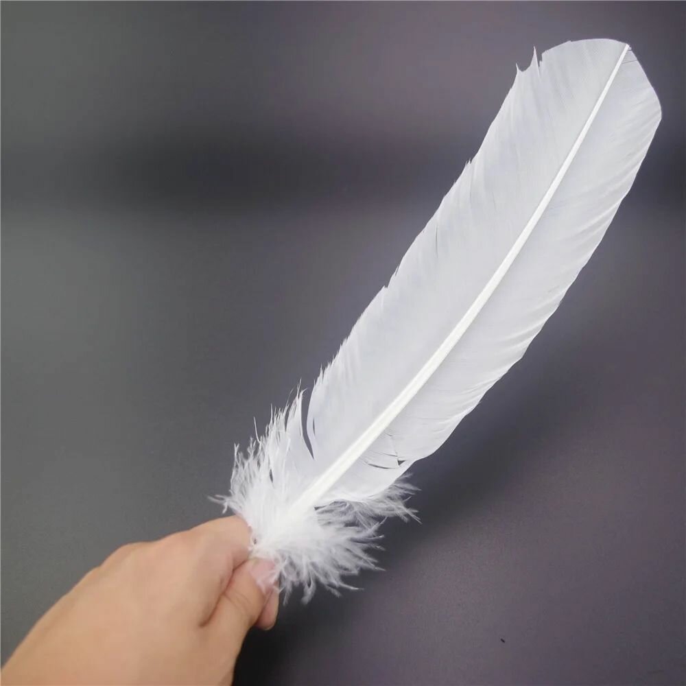 25-30 см 20шт/лот чистый белый лебедь 10-12 дюймов гусиных перьев.