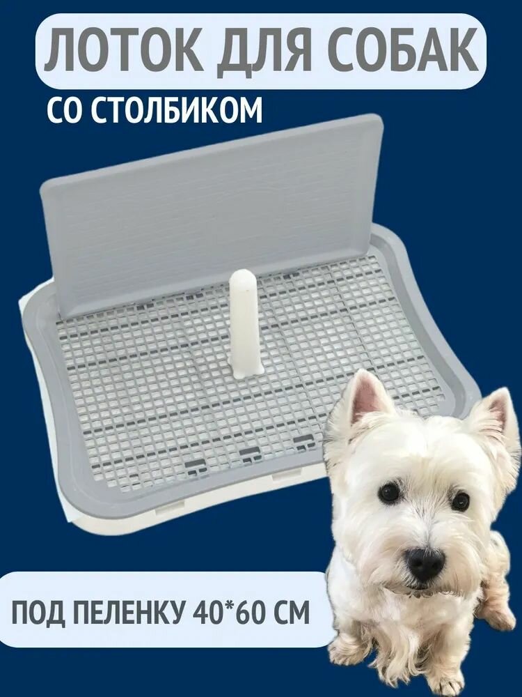 Лоток для собак под пеленку со стенкой и столбиком
