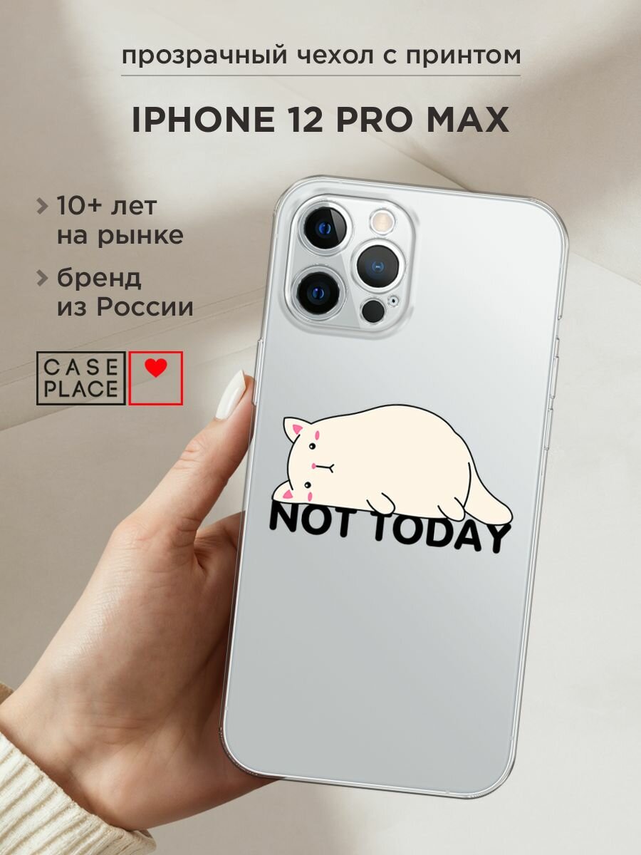 Чехол на Apple iPhone 12 Pro Max / Айфон 12 Про Макс с принтом "Cat not today", прозрачный