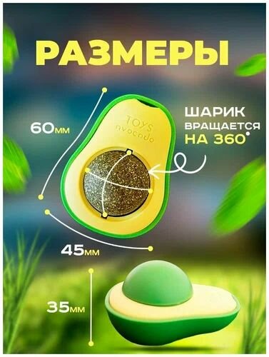 Кошачья мята