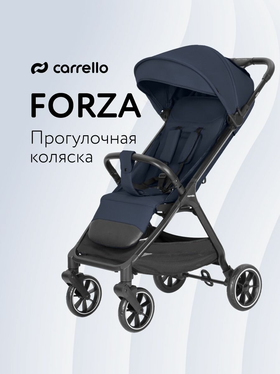Коляска прогулочная детская всесезонная Carrello Forza, цвет синий