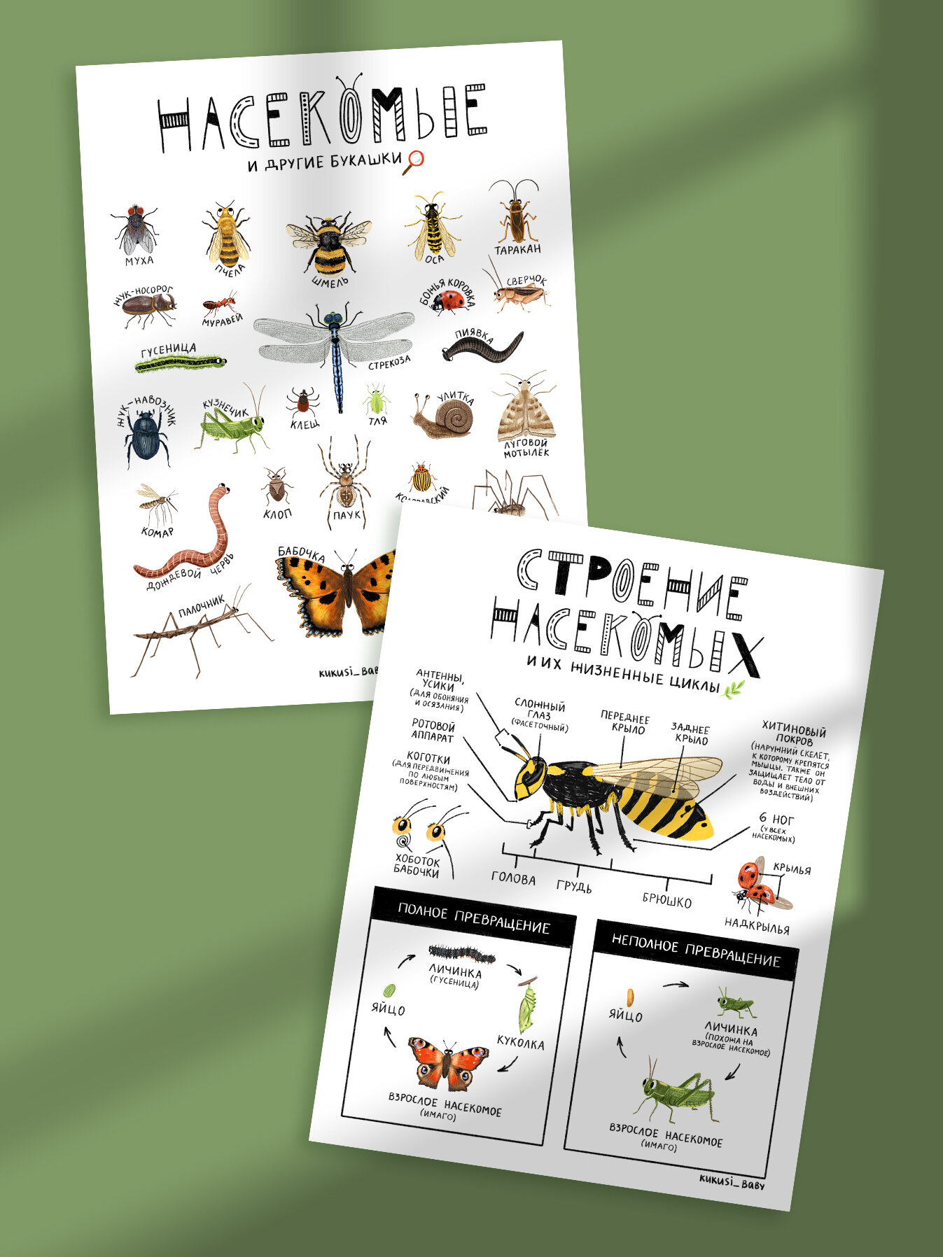 Обучающие детские плакаты "Насекомые и другие букашки/Строение насекомых", 2 шт, 30x40