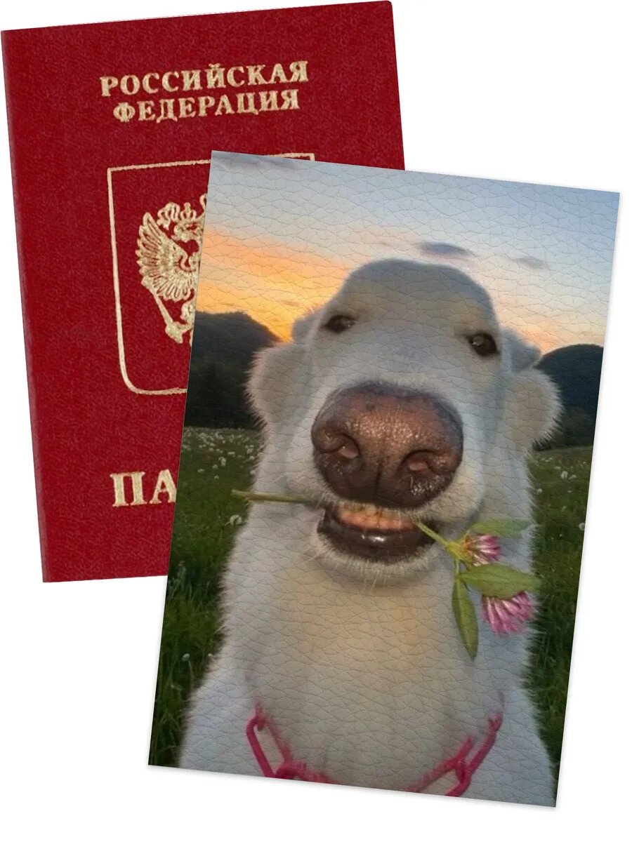 Обложка для паспорта