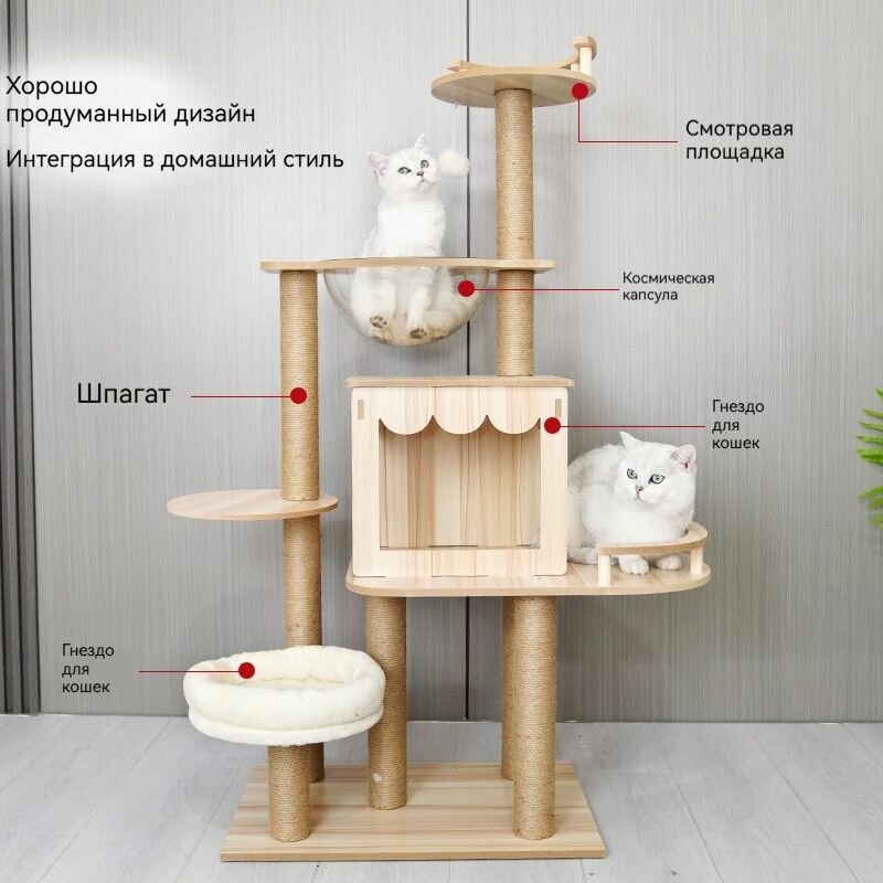 Когтеточка — фото 1