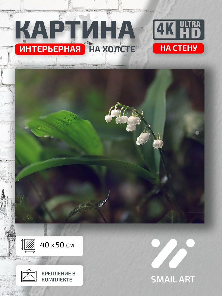Картина на холсте интерьерная 40 на 50 на стену Ландыши Mood для студии атмосфера интерьер