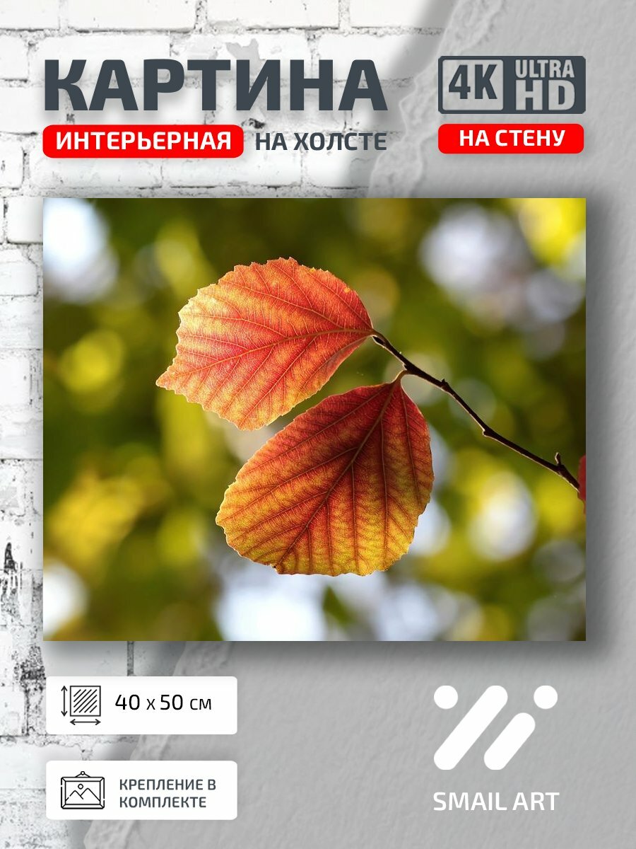 Картина на холсте интерьерная 40 на 50 на стену Осень Landscape для гостиной пейзаж декор