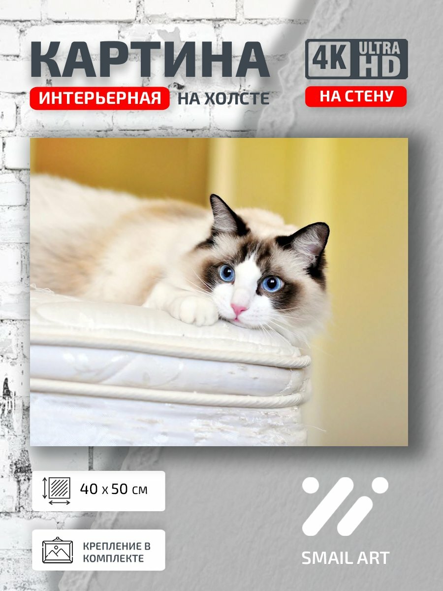 Картина на холсте интерьерная 40 на 50 на стену Белый Landscape для офиса пейзаж интерьер