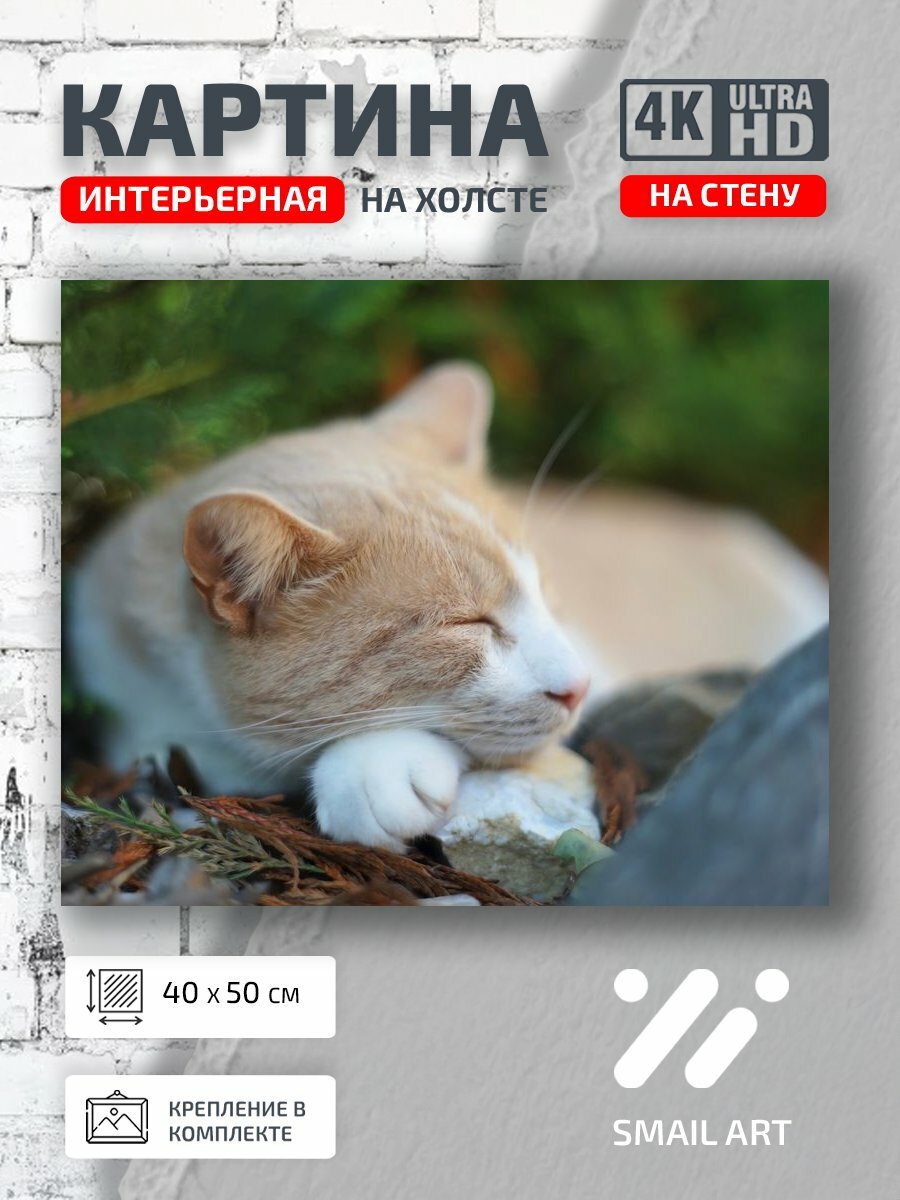 Картина на холсте интерьерная 40 на 50 на стену Камень Animal для спальни animal style