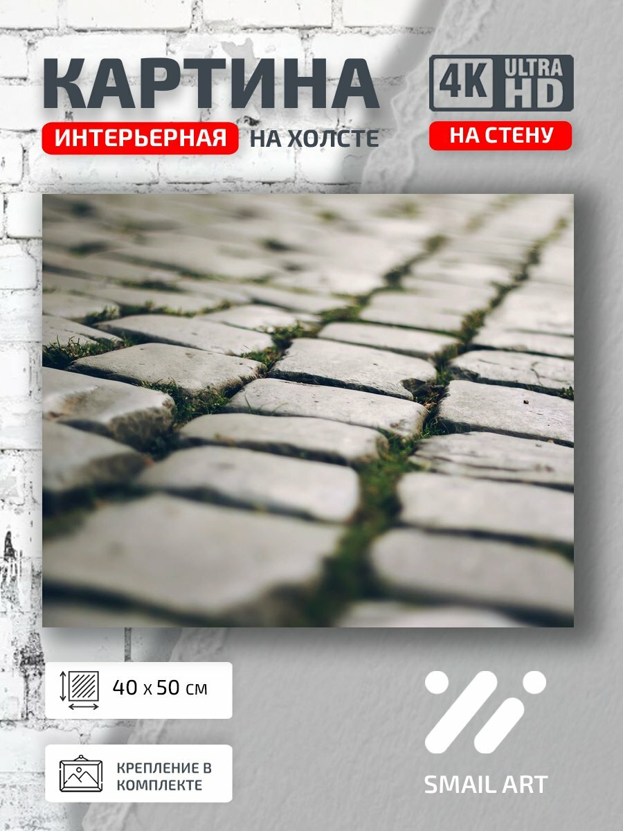 Картина на холсте интерьерная 40 на 50 на стену Трава Mood для спальни атмосфера интерьер