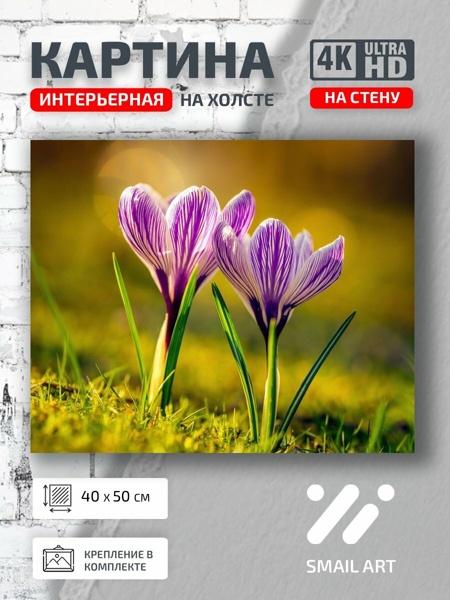 Картина на холсте интерьерная 40 на 50 на стену Поляна Mood для студии атмосфера интерьер