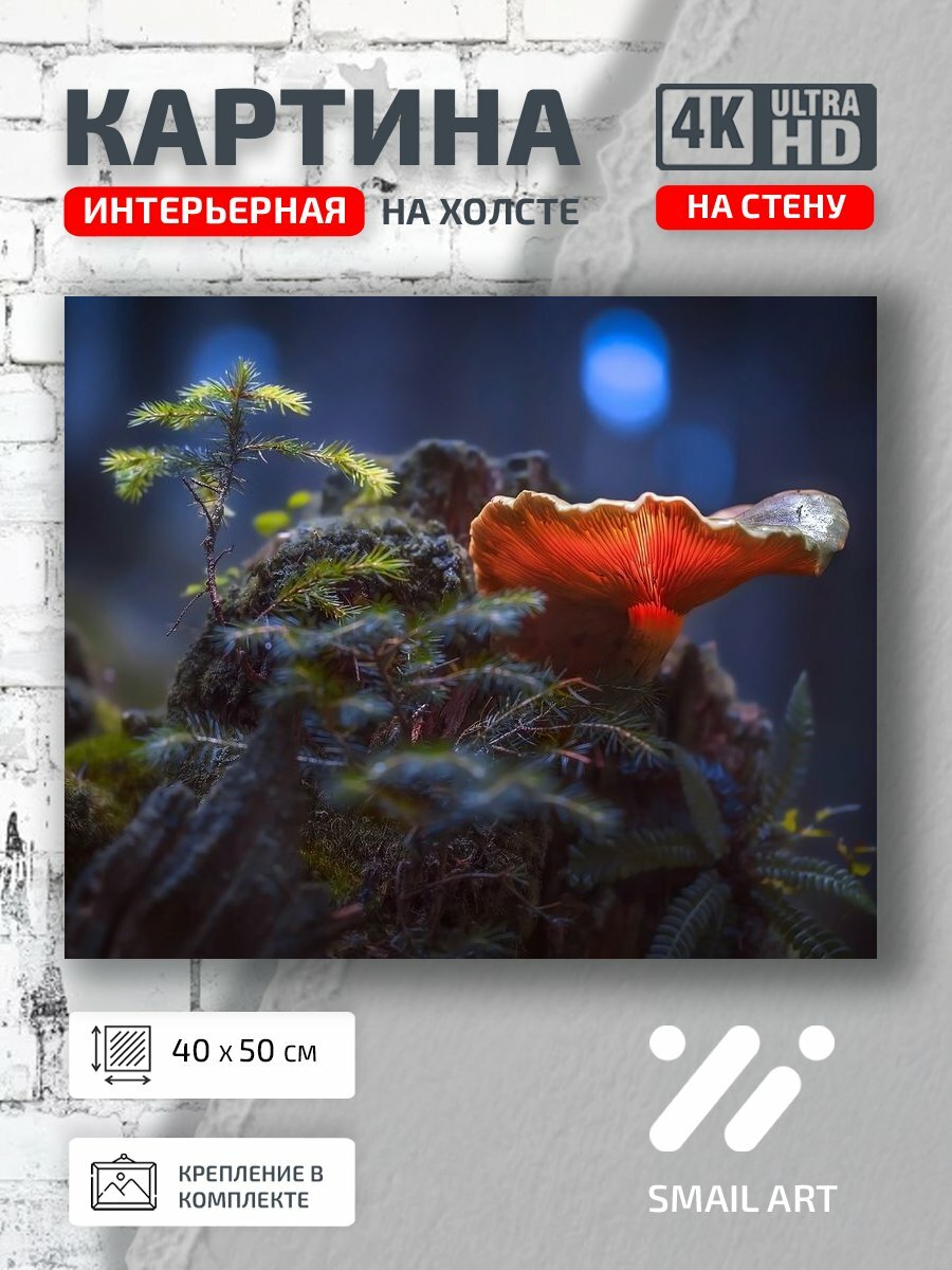 Картина на холсте интерьерная 40 на 50 на стену Мох Landscape для кафе пейзаж интерьер
