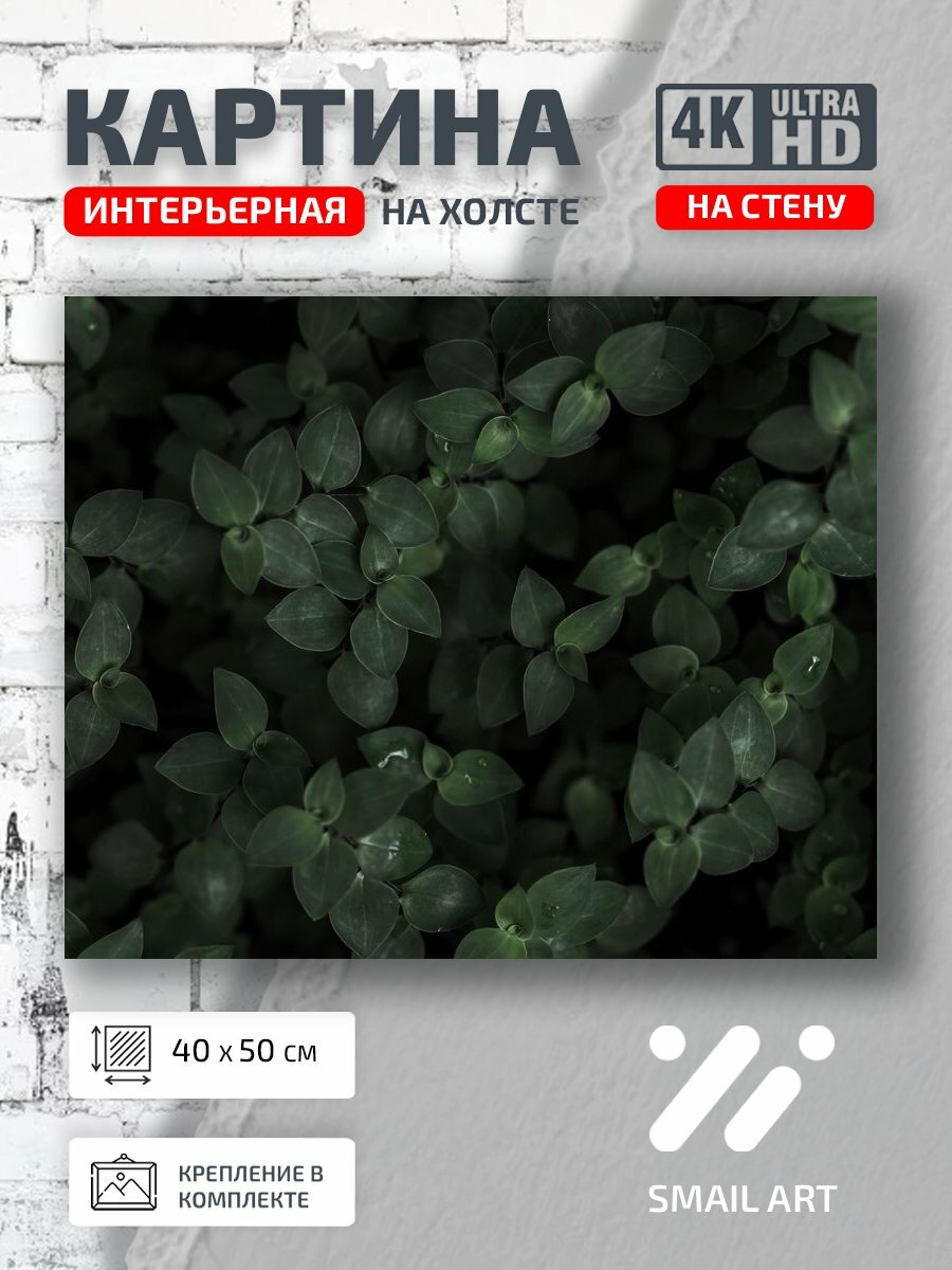 Картина на холсте интерьерная 40 на 50 на стену Куст Landscape для кабинета пейзаж интерьер