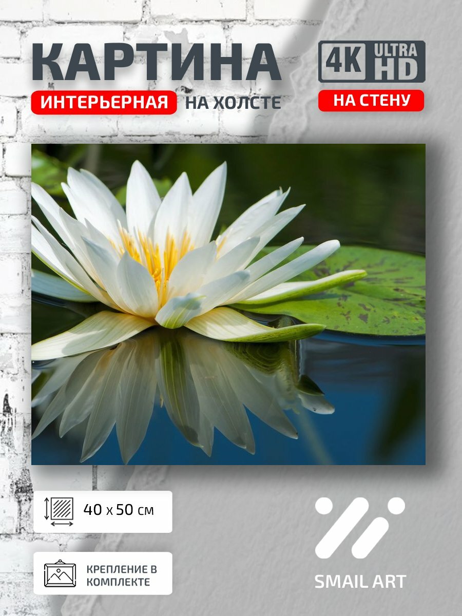 Картина на холсте интерьерная 40 на 50 на стену Озеро Landscape для кабинета пейзаж декор