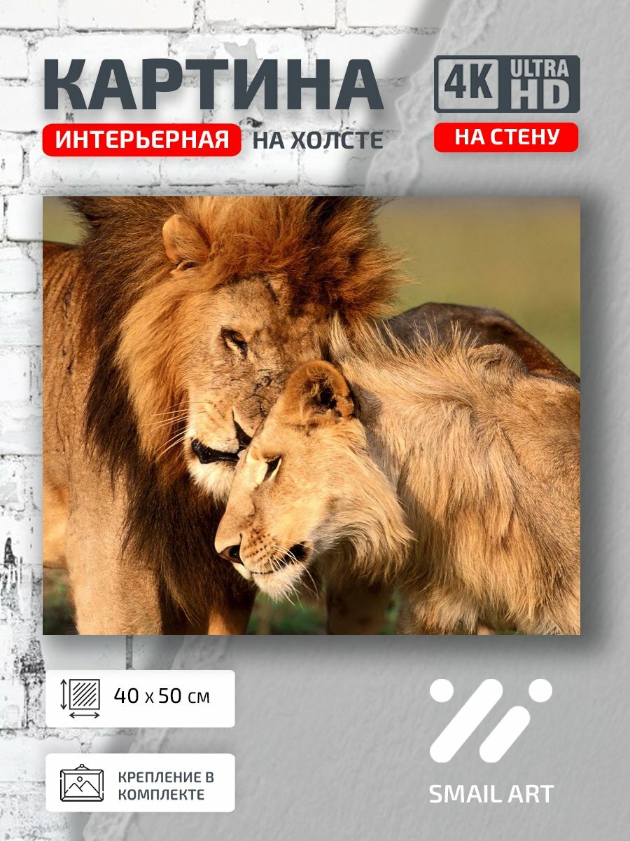 Картина на холсте интерьерная 40 на 50 на стену Львы Mood для студии атмосфера интерьер
