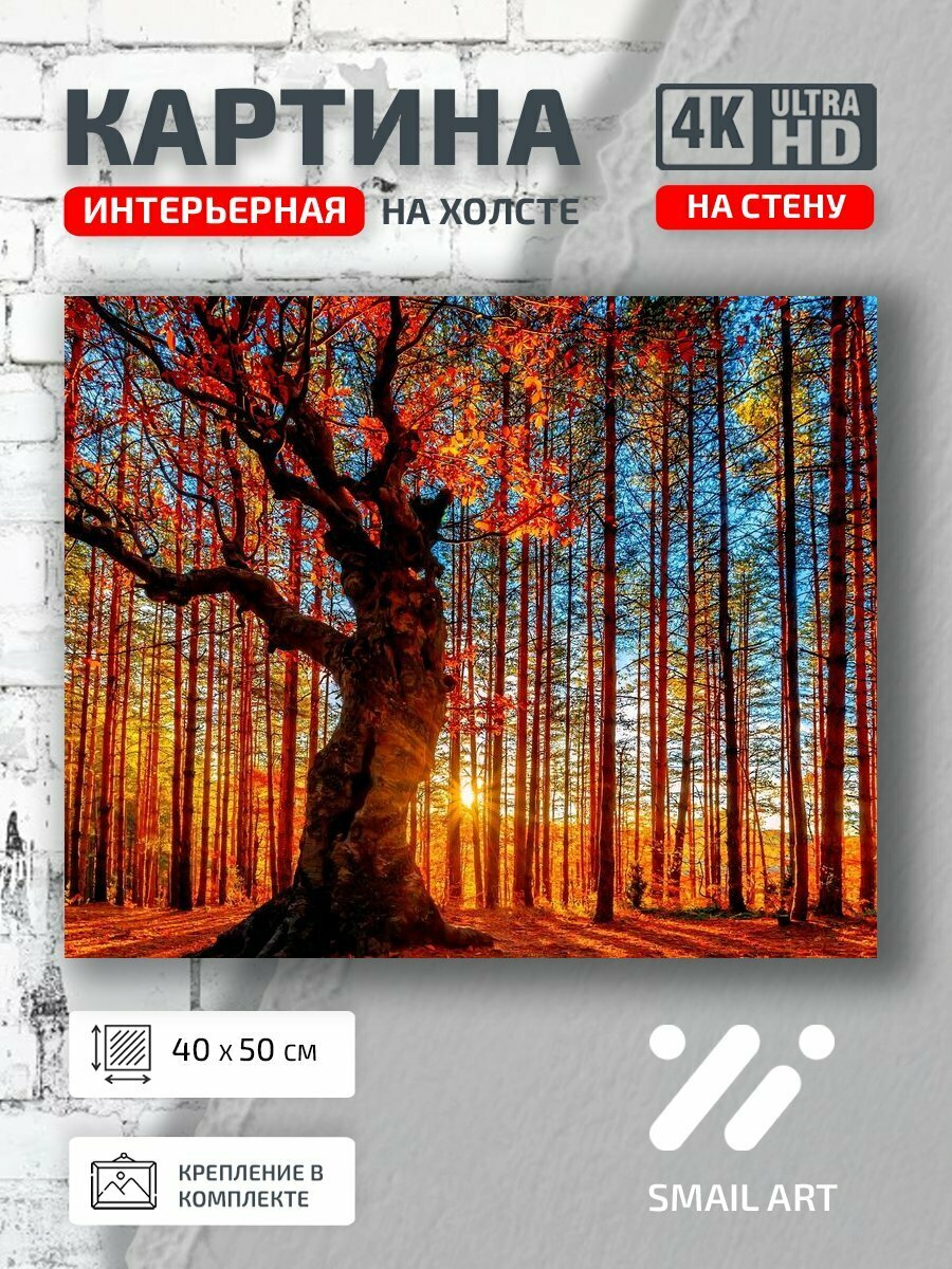 Картина на холсте интерьерная 40 на 50 на стену Лес Landscape для гостиной пейзаж интерьер