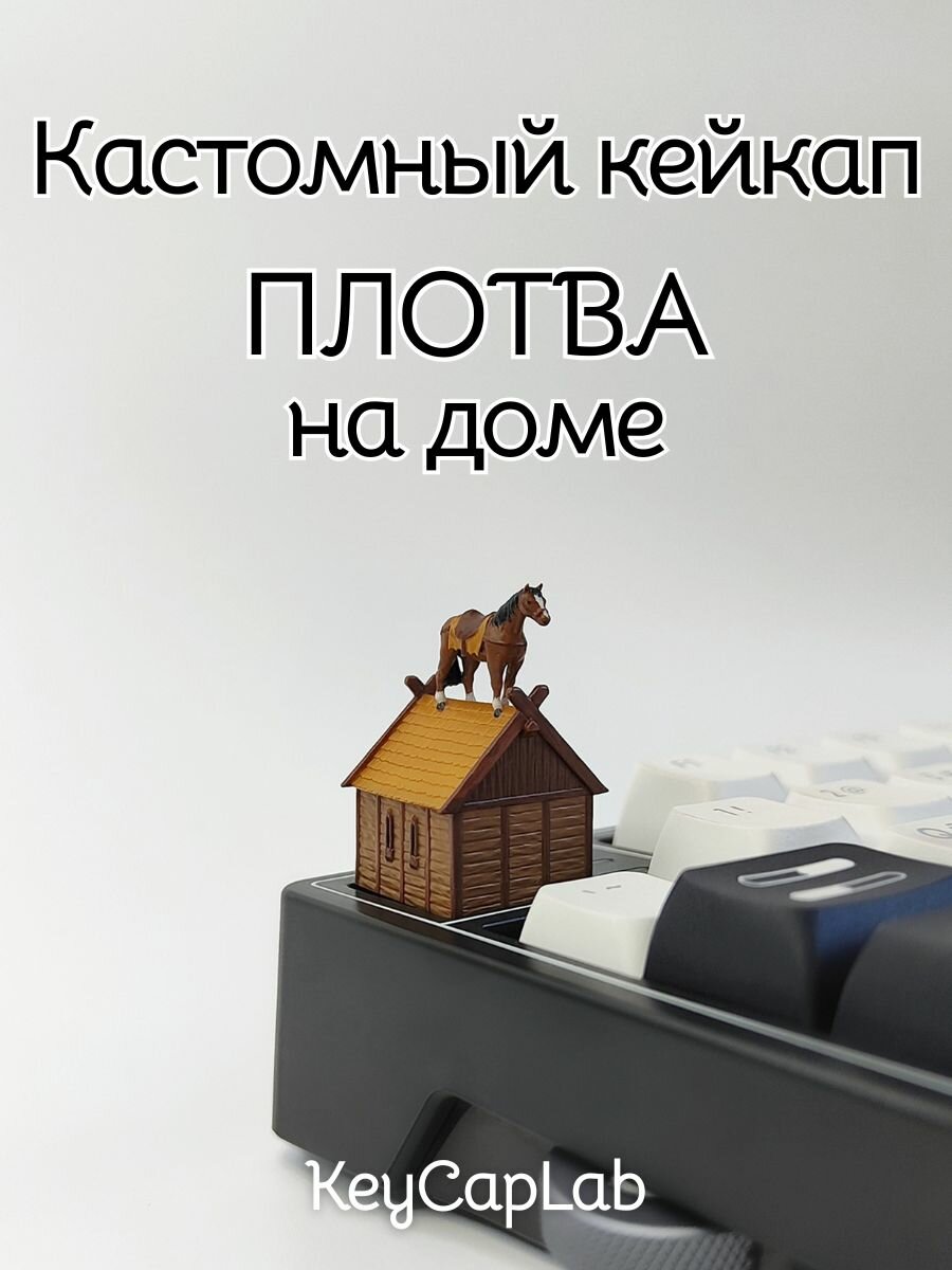 Кейкап для механической клавиатуры кастомный "Плотва на доме", "Ведьмак 3"