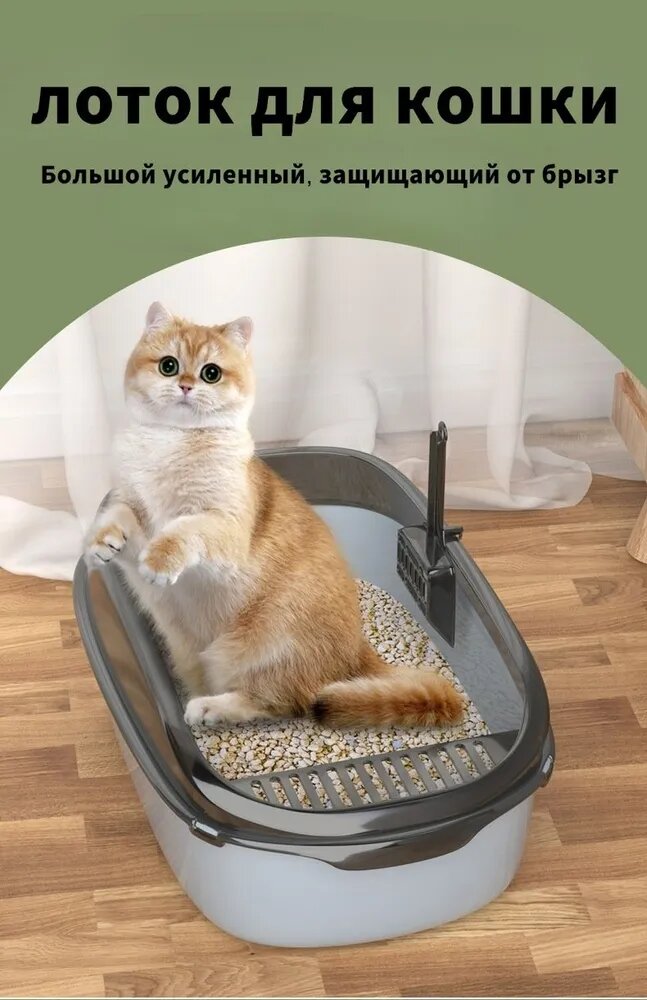 Лоток для кошек с высоким бортом совком глубокий , Большой кошачий туалет с защищёнными от брызг стенками и утолщённой конструкцией, в комплекте совок кошачьего наполнителя