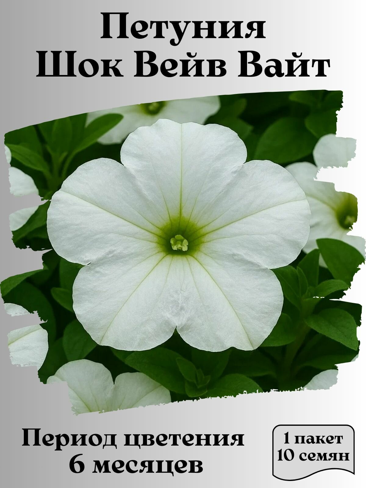 Петуния Шок Вейв Вайт, семена, 10 шт, 15 гр.